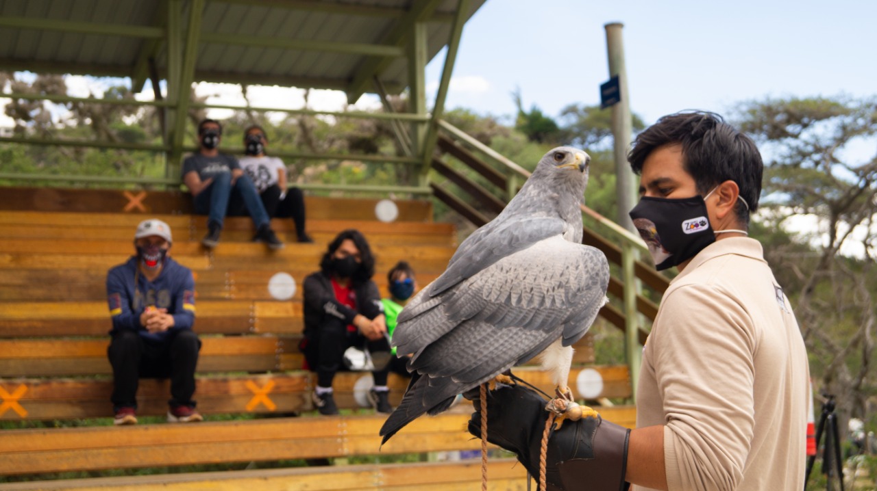 Blog - Zoologico de Quito