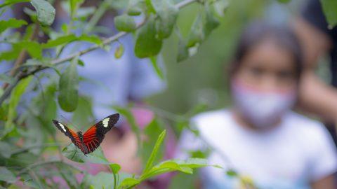 Un 2021 de importantes desafíos cumplidos - Zoologico de Quito