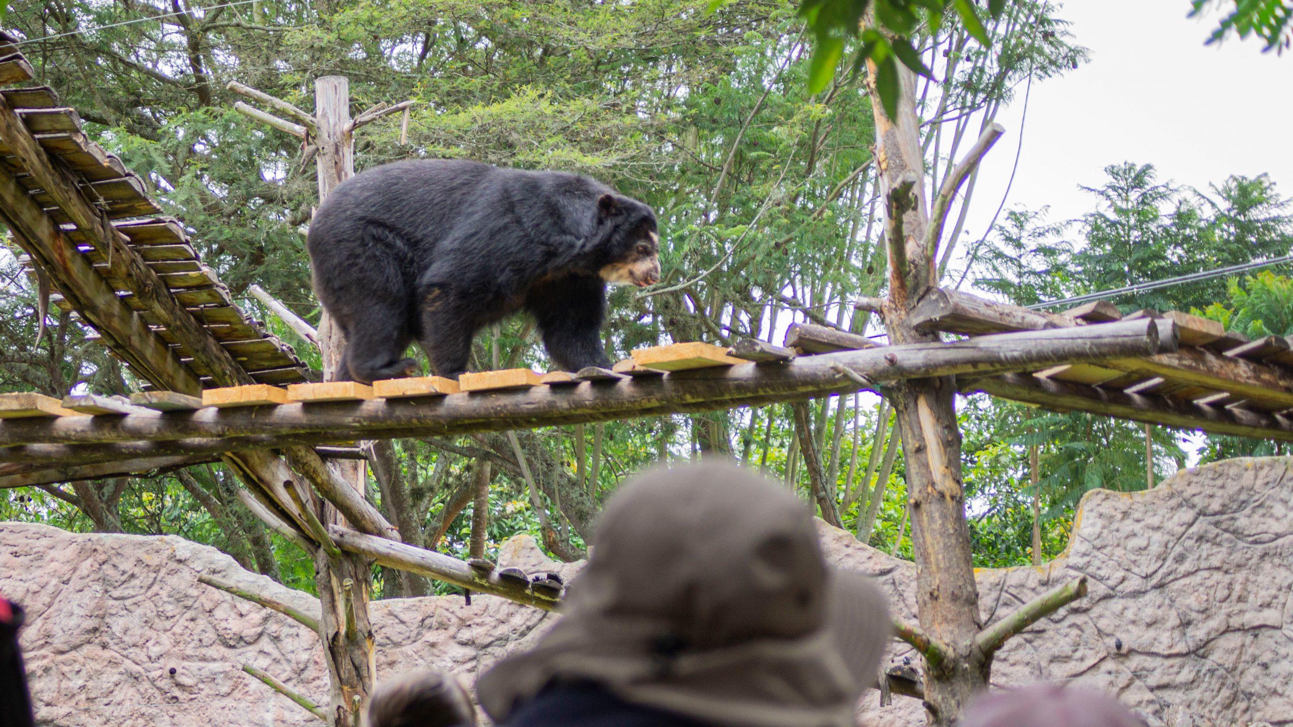 Zoo de Quito - Página de Inicio - Zoologico de Quito