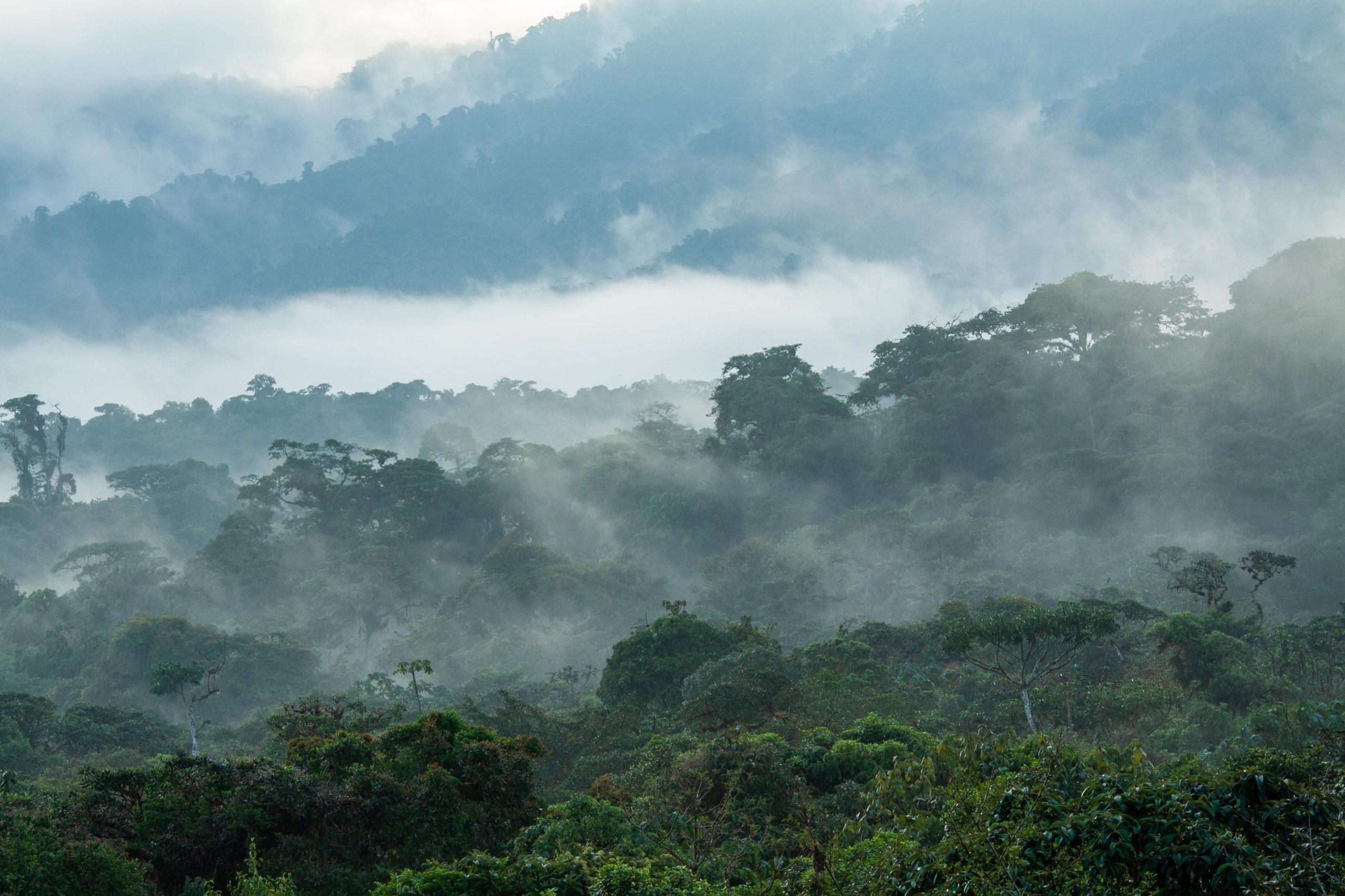 Miradas de biodiversidad - Zoologico de Quito