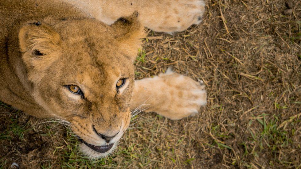 Mundo Animal - Zoologico de Quito