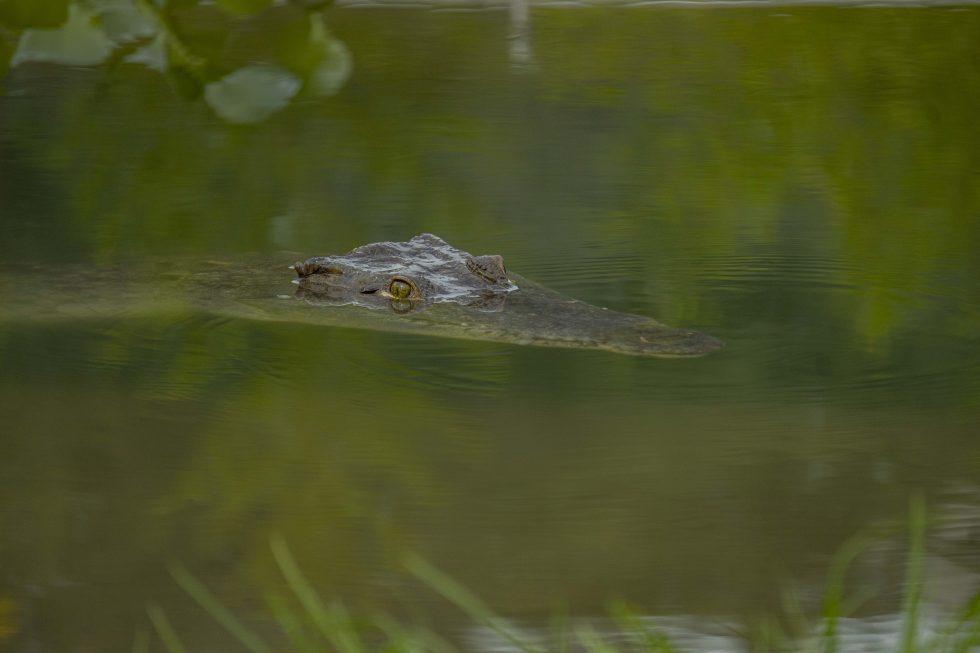 Mundo Animal - Zoologico de Quito