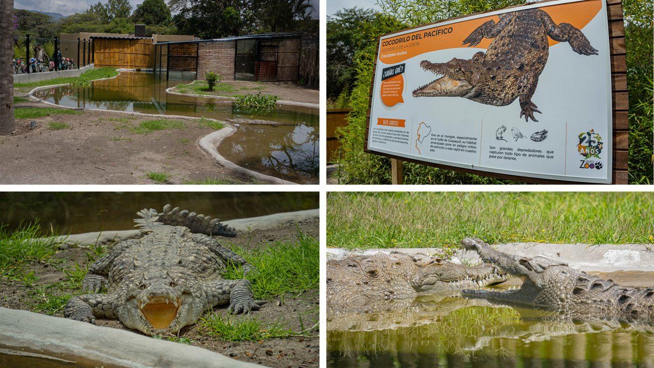 El QuitoZoo afrontó retos importantes en el 2023 - Zoologico de Quito