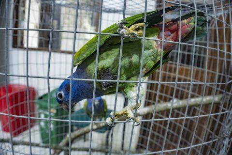 Mundo Animal - Zoologico de Quito